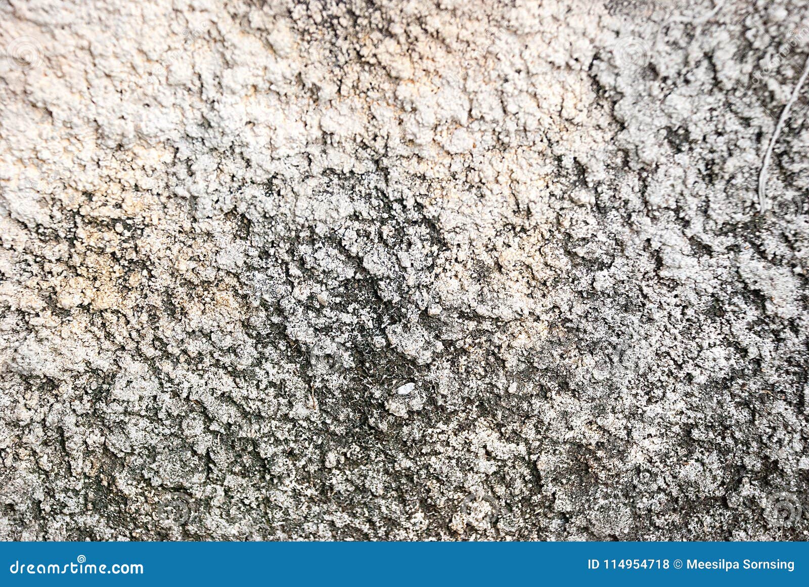 Cement Seamless Texture of the Floor . the Surface Seamless Pattern ...