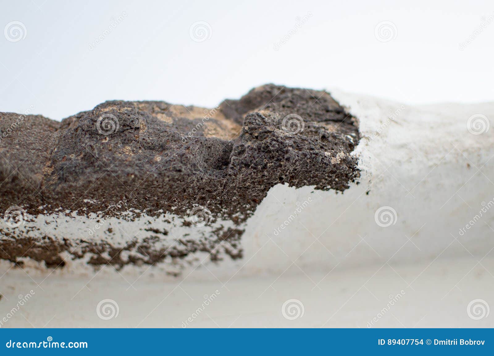 Cement Sponge Structure in Tropics Stock Photo - Image of construction ...
