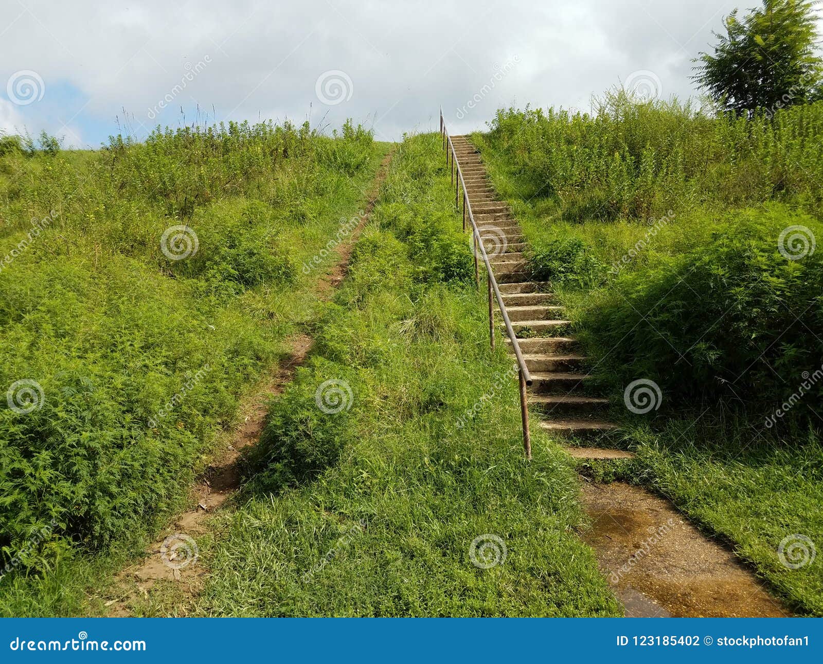 Cement Staircase or Steps or Stairs and Path or Trail Up a Grass Slope ... Cement Staircase or Steps or Stairs and Path or Trail Up a Grass Slope ...