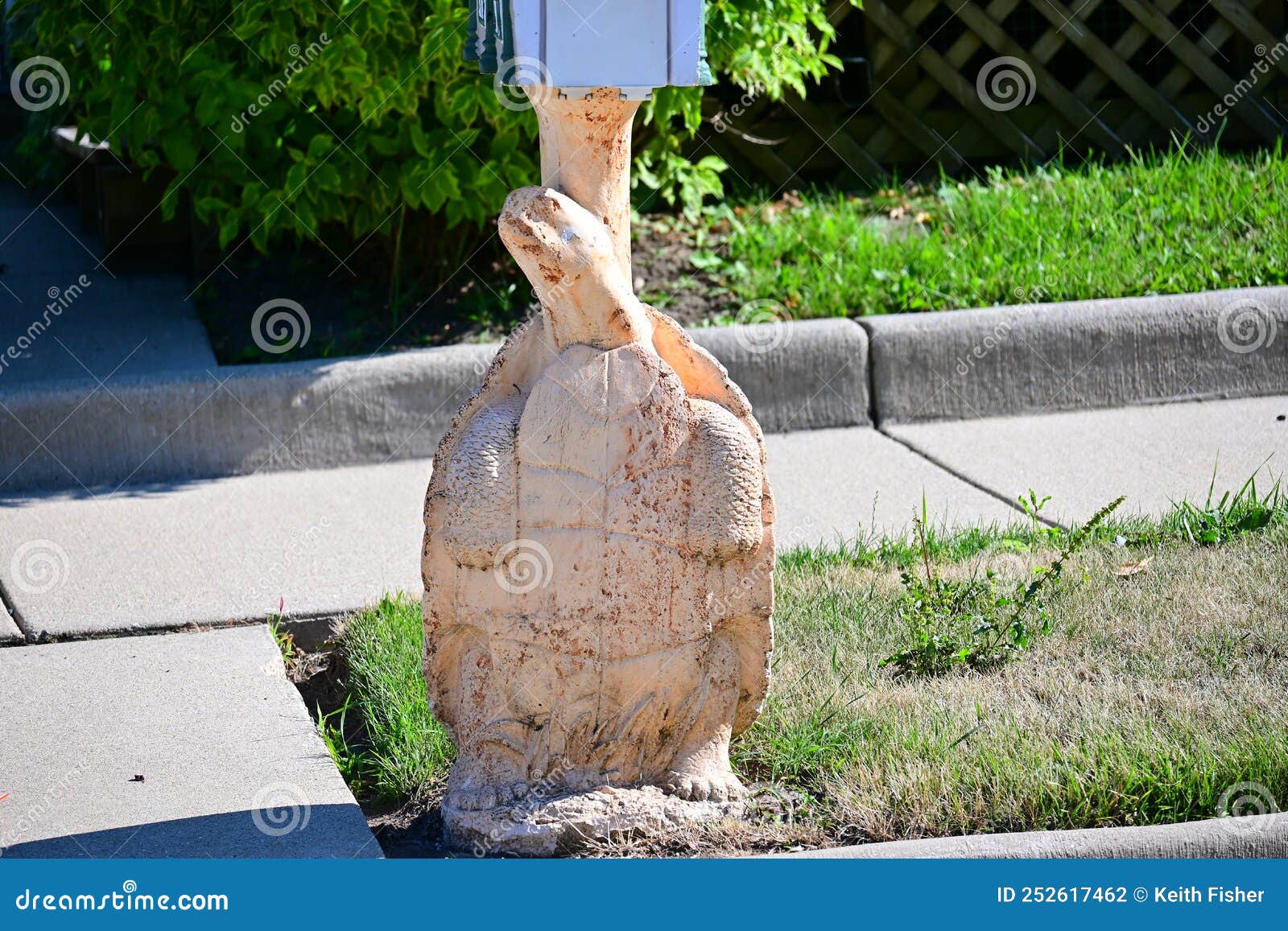 Cement Turtle Decorative Mailbox Stand Unique Stock Photo - Image of ...