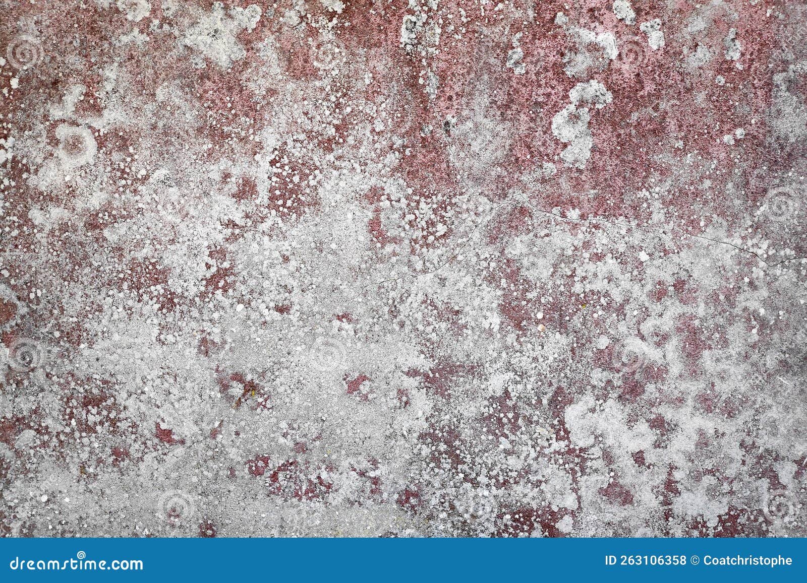 Cement Wall Covered with Red Algae Stock Photo - Image of nature, algae ...