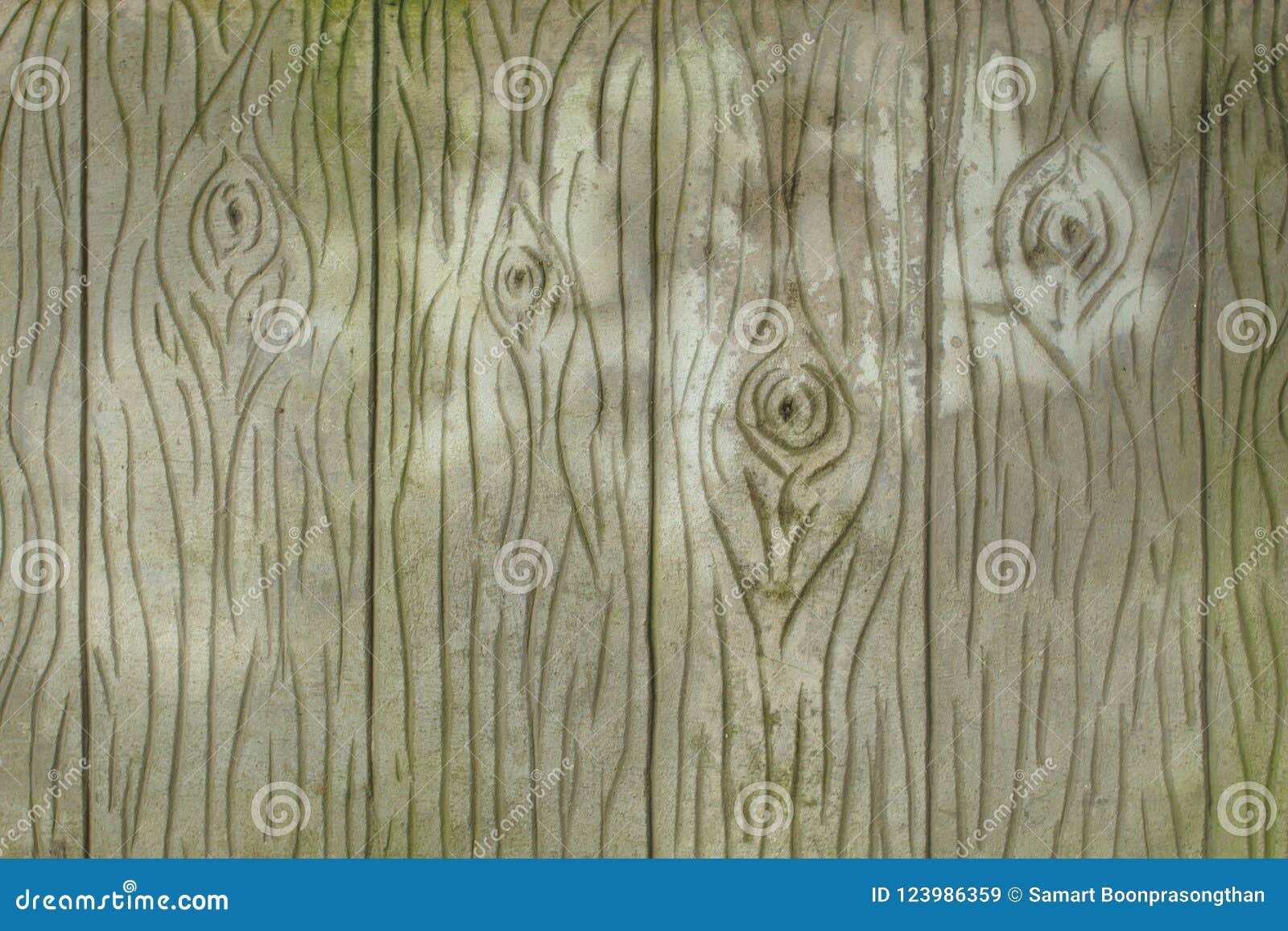 The Cement Wall Is A Tree Pattern Used As A Background. Stock Image ...