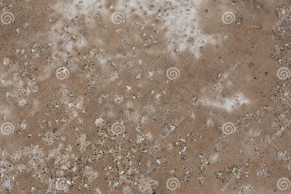 Cement Wet stock image. Image of background, nature, sidewalk - 73781499