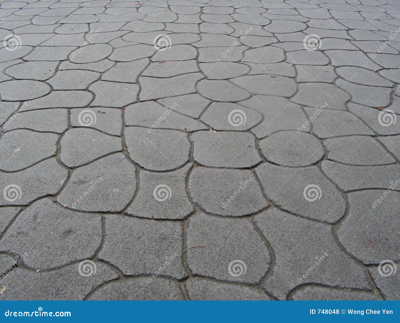 Cemented pavement stock photo. Image of concrete, pedestrian - 748048