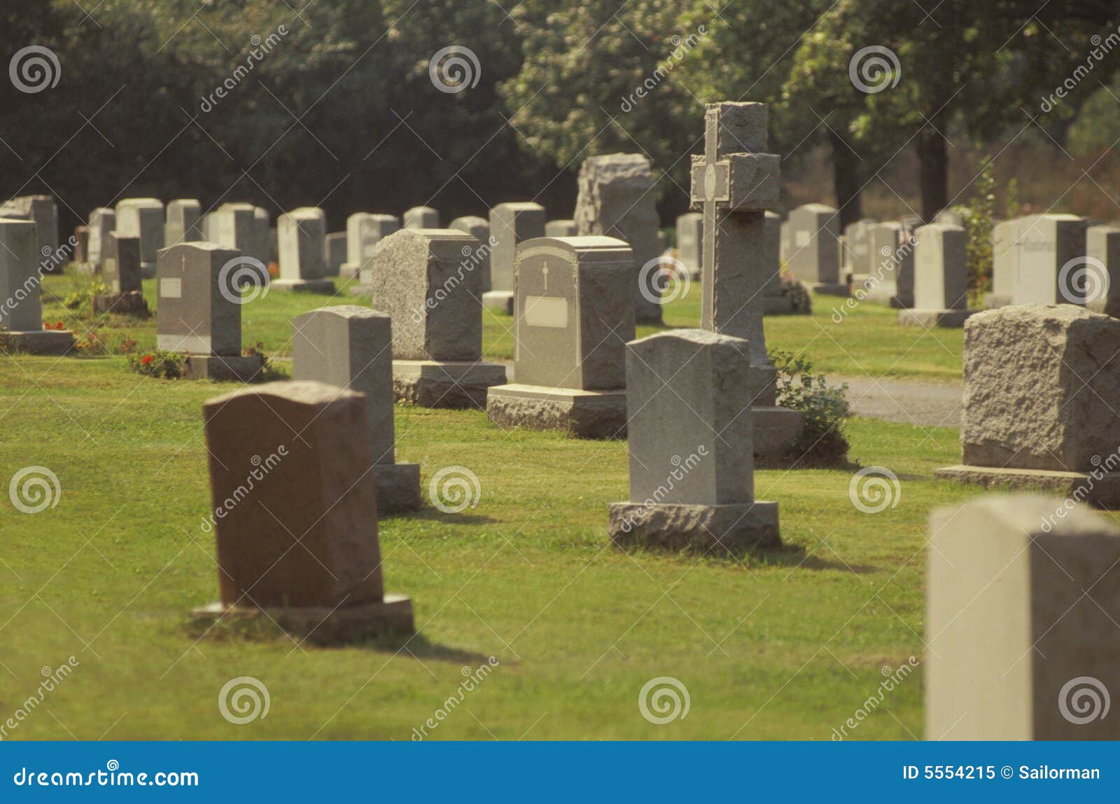 Cemetary stock image. Image of cemetery, stones, mortality - 5554215