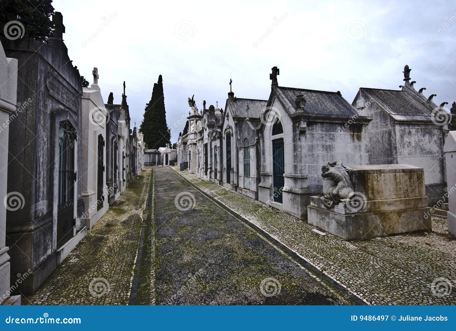 Cemetery stock image. Image of tomb, line, honor, travel - 9486497