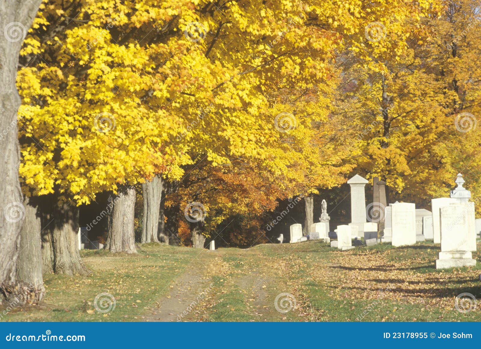 Cemetery in autumn editorial image. Image of cemetery - 23178955