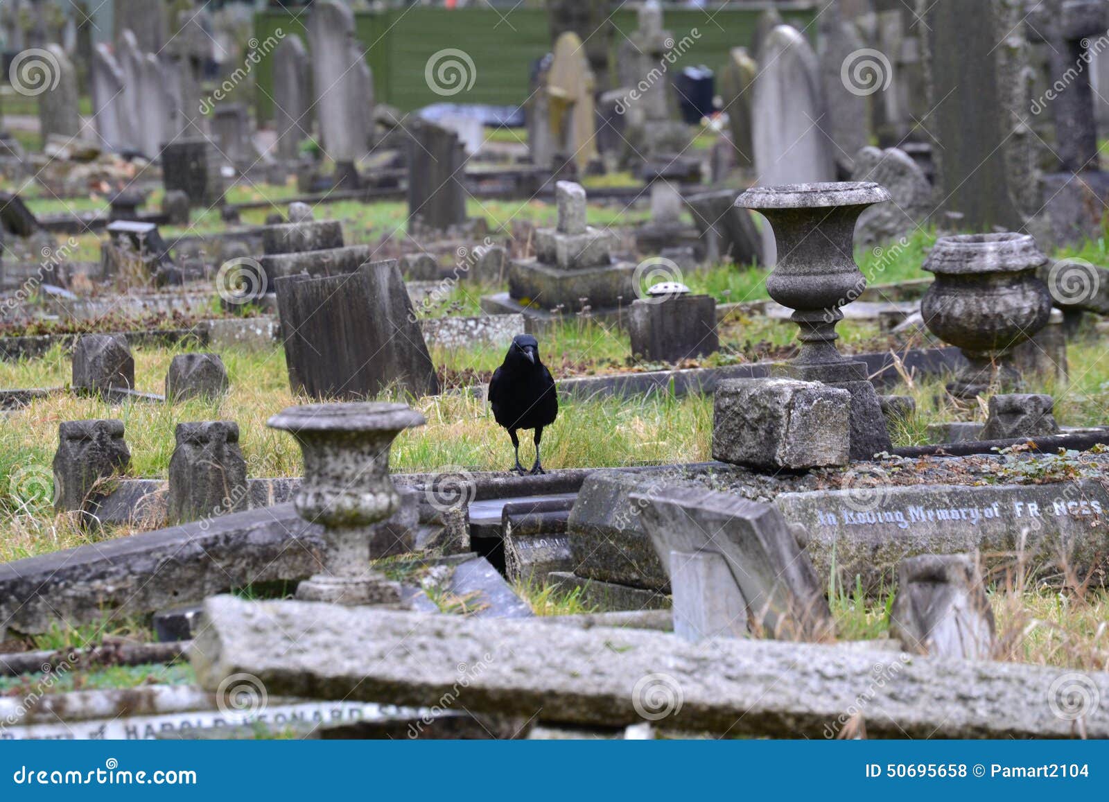 Cemetery stock photo. Image of black, cemetery, grave - 50695658