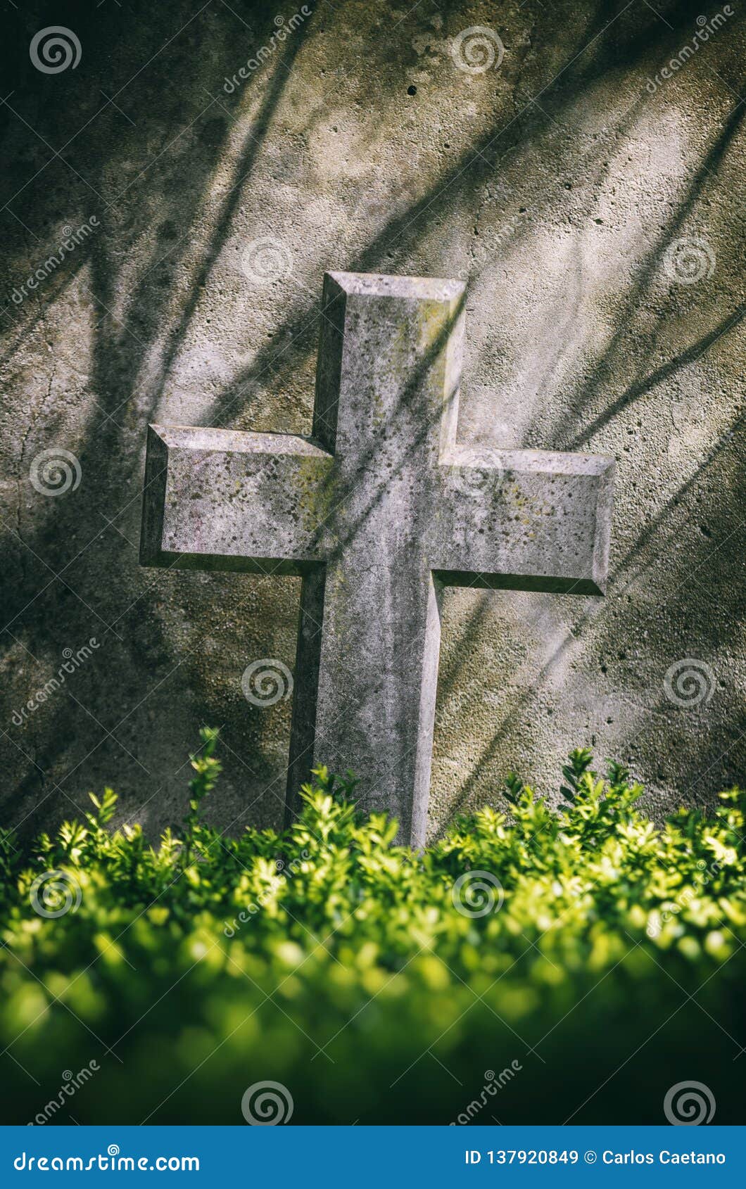 Cemetery Cross stock image. Image of death, graveyard - 137920849