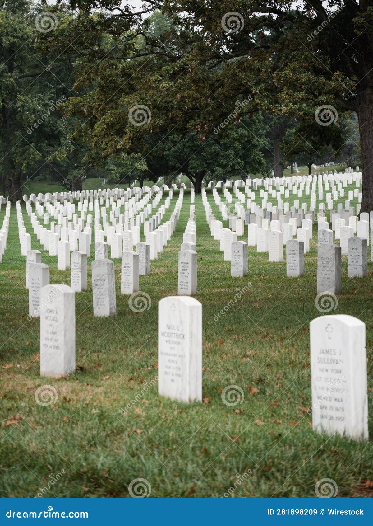 Cemetery, Featuring a Large Tree and Numerous Gravesites Surrounded by ...