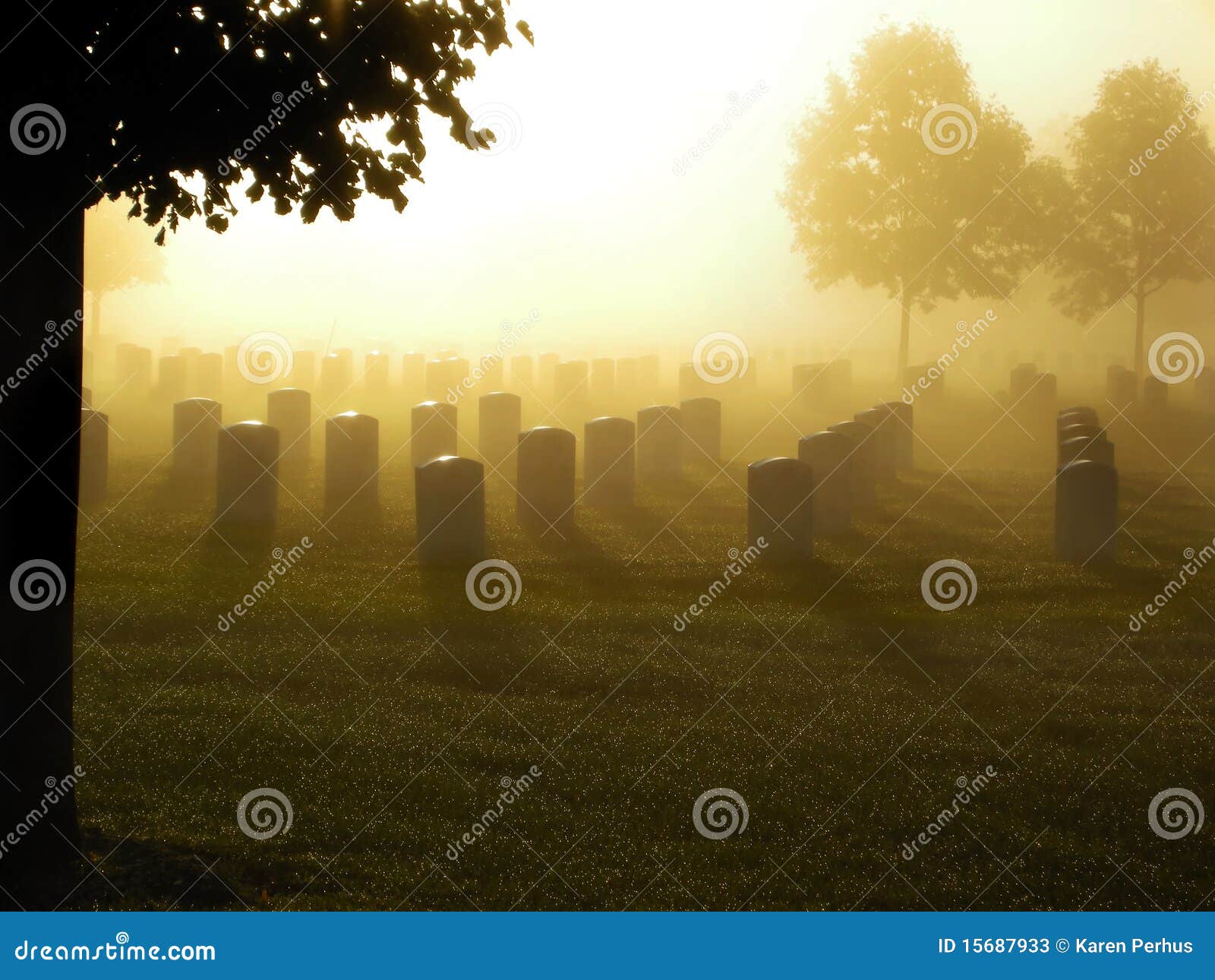 Cemetery in the Fog stock image. Image of shadows, sunrise - 15687933