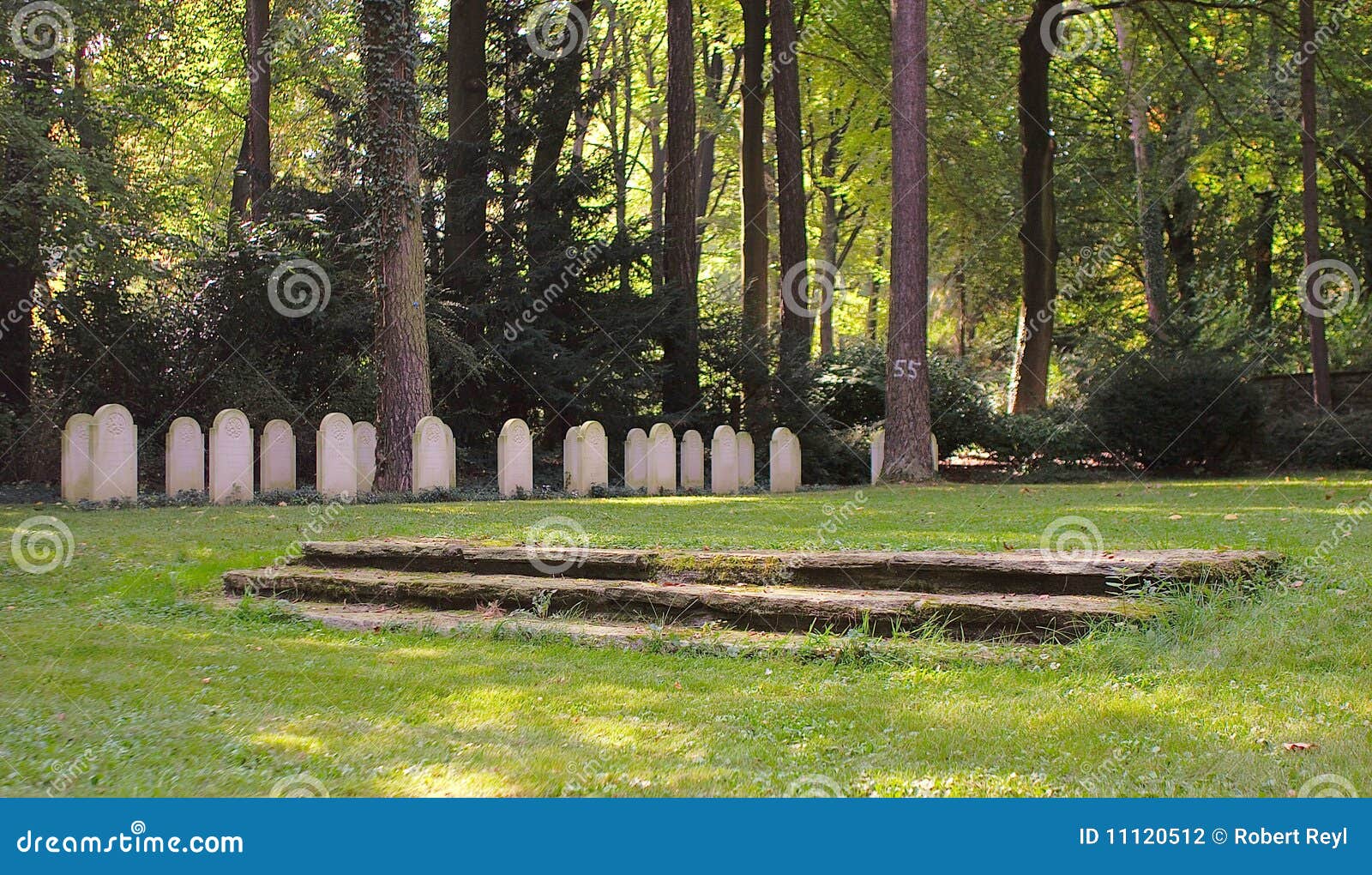 Cemetery and forest stock photo. Image of peace, forestry - 11120512