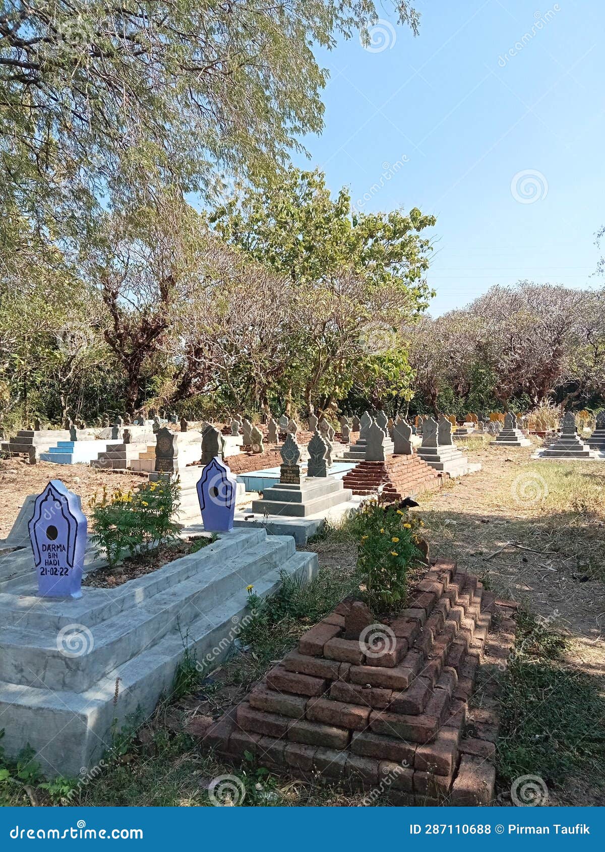 Cemetery in the forest stock photo. Image of reast, garden - 287110688