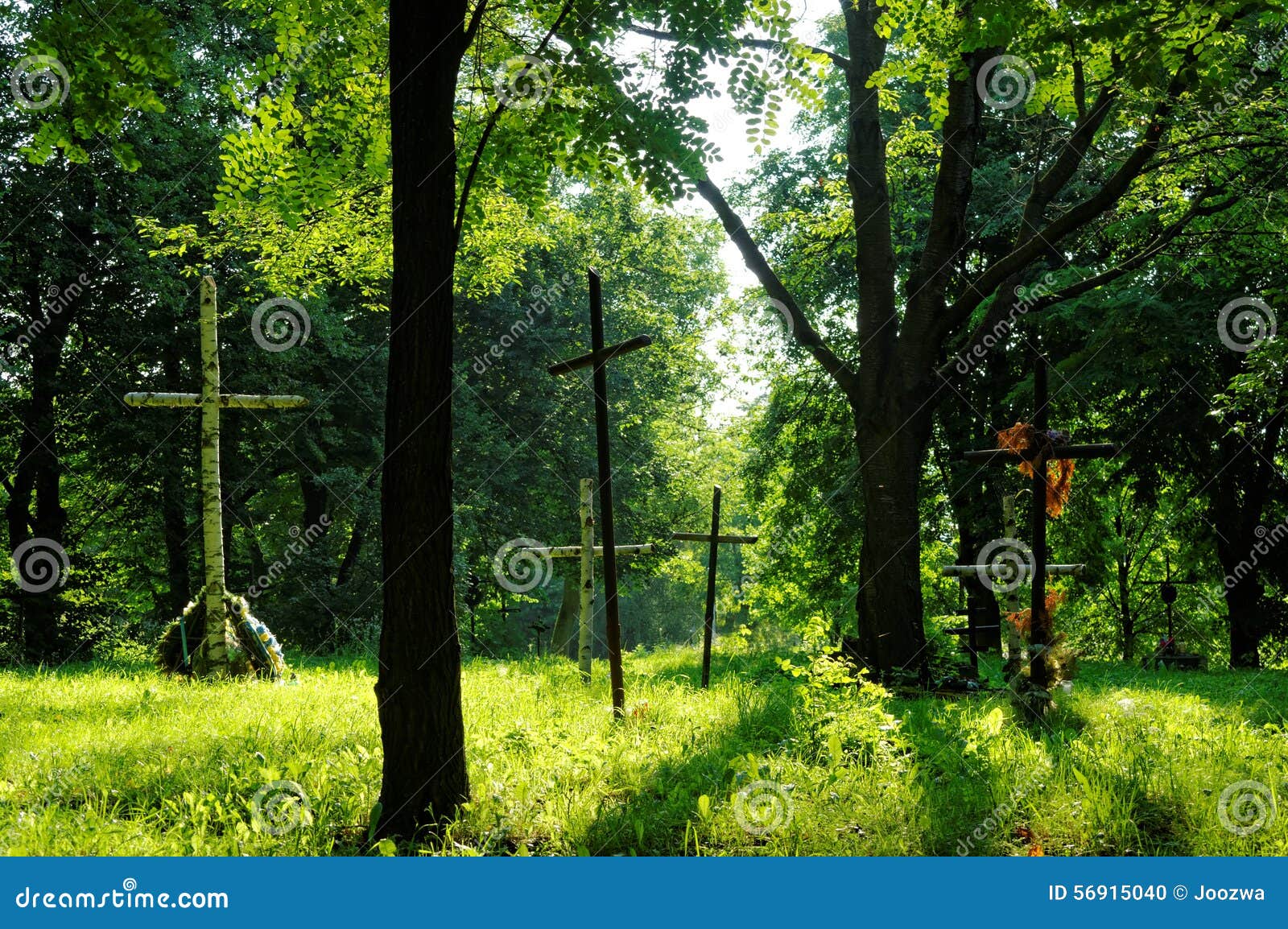 Cemetery in a forest stock photo. Image of tomb, memory - 56915040