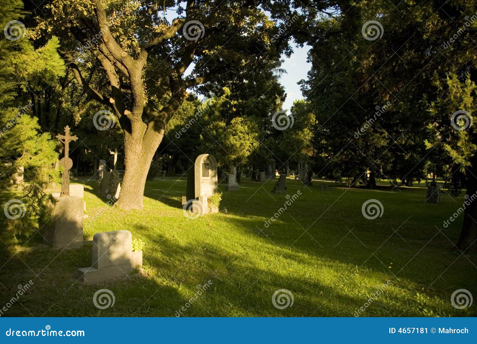 Cemetery with Fresh Green Trees Stock Image - Image of christianity ...