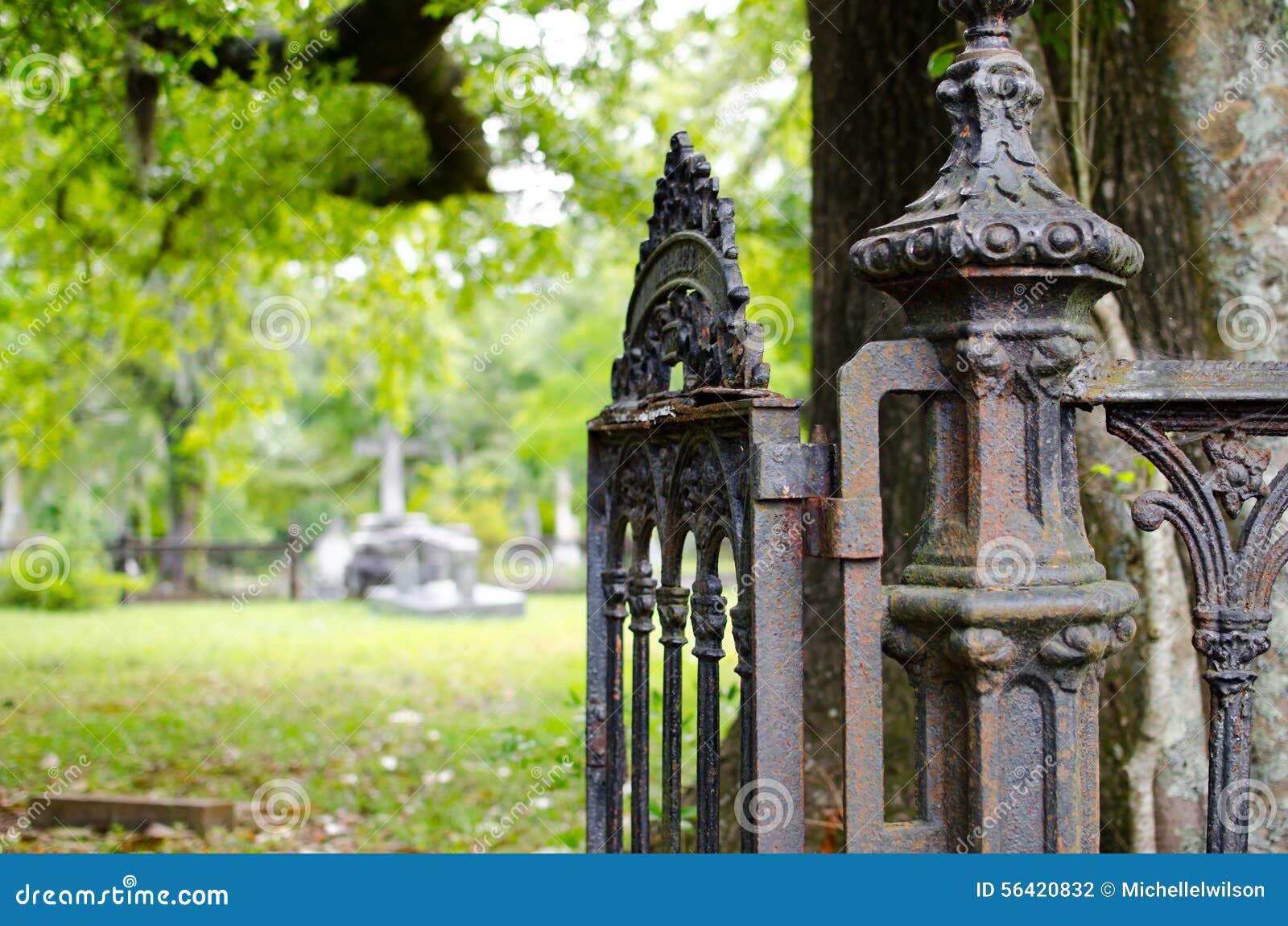 Cemetery Gate stock photo. Image of foliage, distressed - 56420832