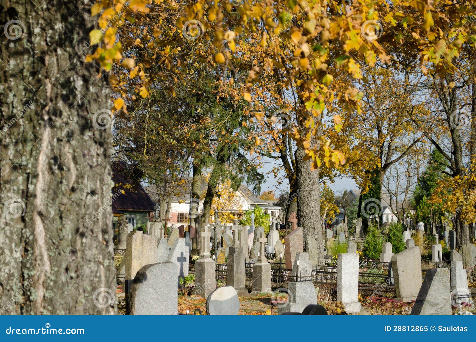 Cemetery Grave Monument Cross Colorful Tree Autumn Stock Image - Image ...