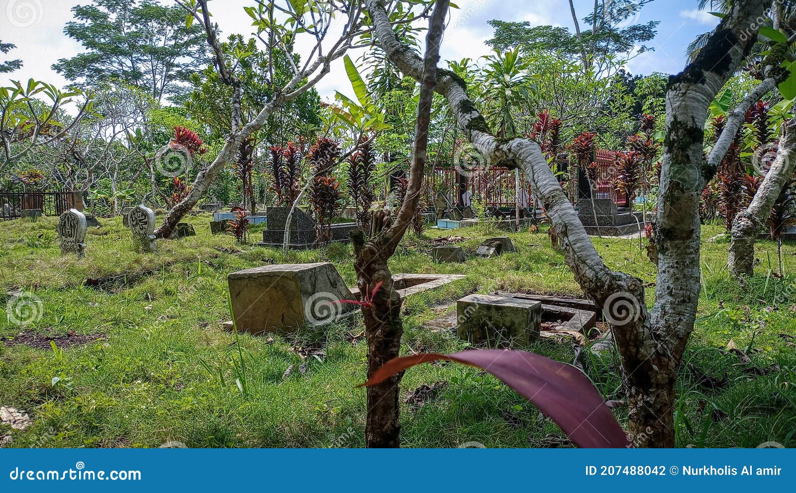 Cemetery or Graveyard is a Plot of Land Reserved for Graves Burials Can ...