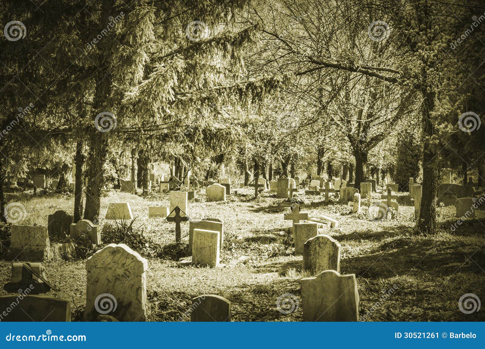 Cemetery stock image. Image of dead, stone, memorial - 30521261