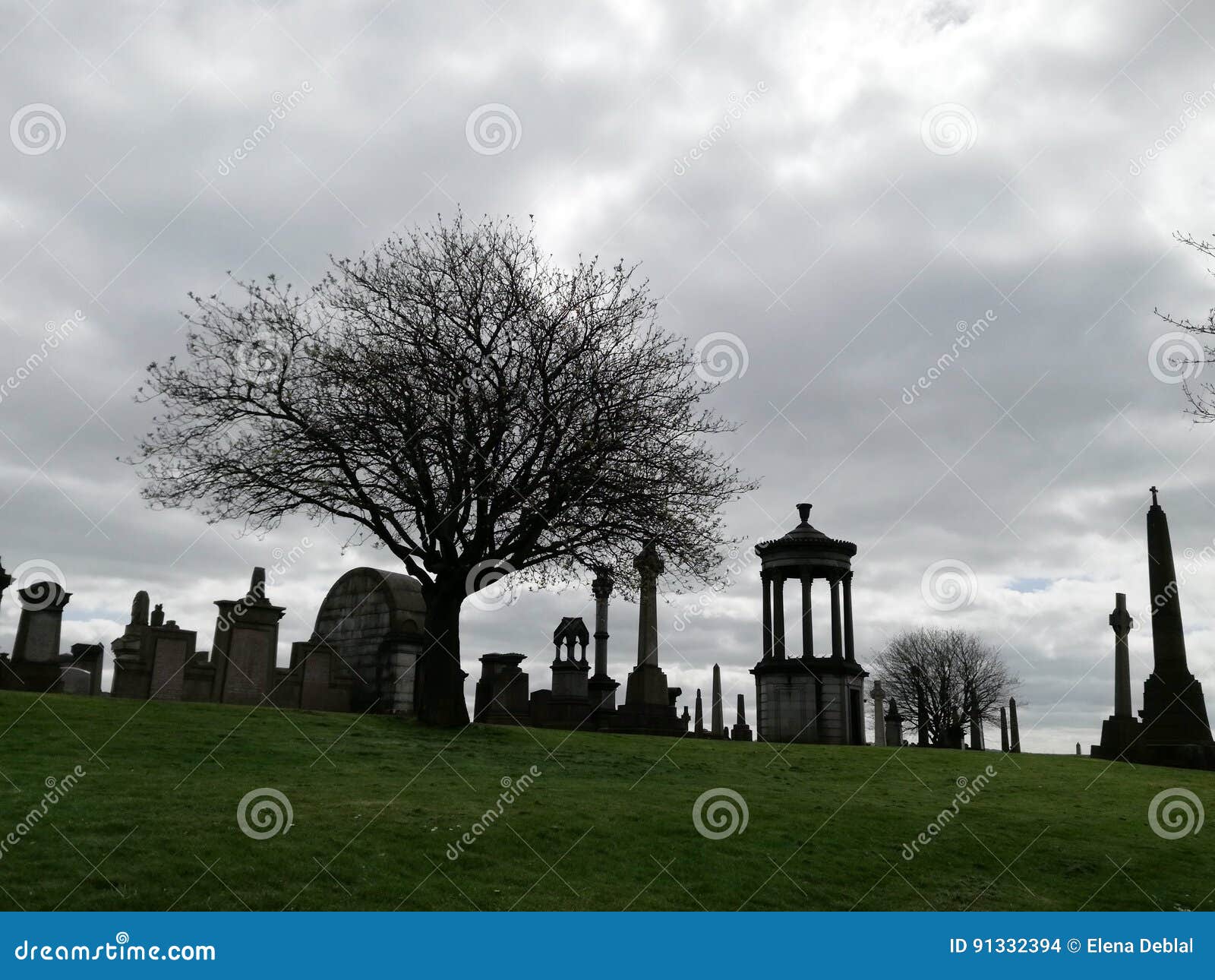 Cemetery Landscape between Tombstones and Trees during Sunset Stock ...