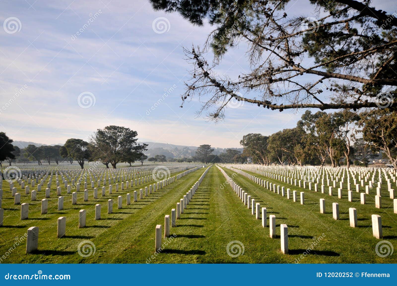 Cemetery with Lots of Gravestones in a Row Stock Photo - Image of ...