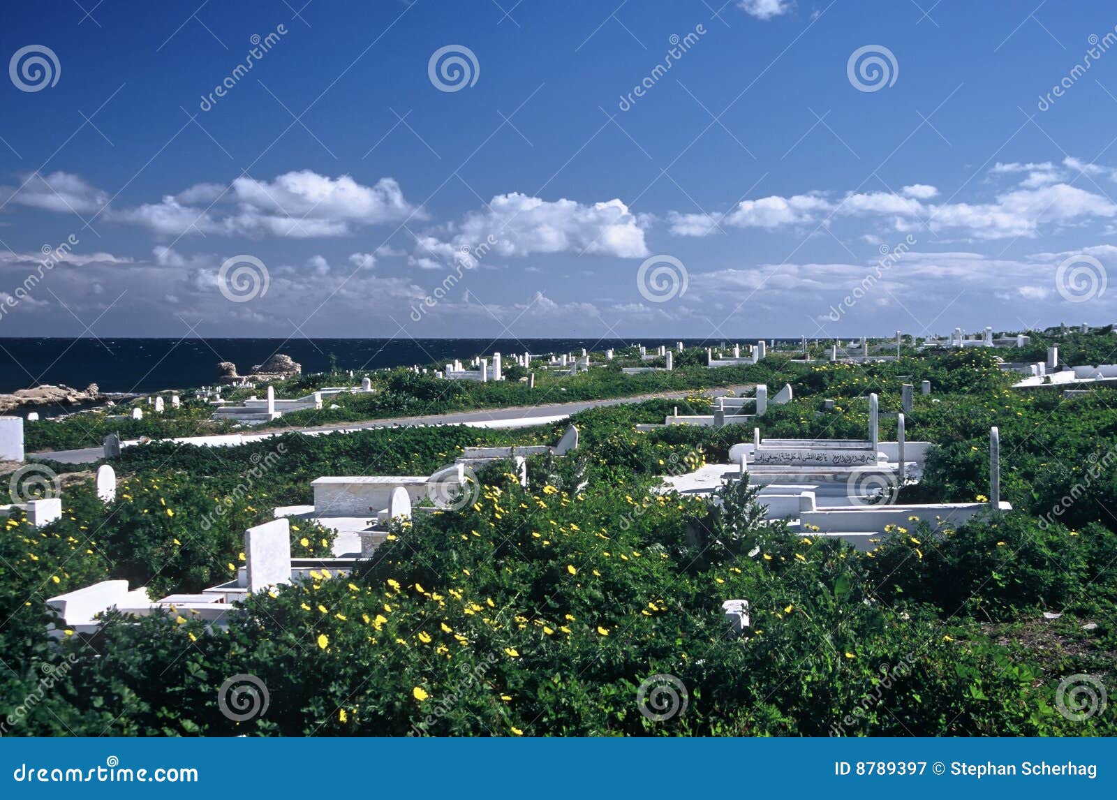 Cemetery,Mahida,Tunisia stock image. Image of islam, muslim - 8789397