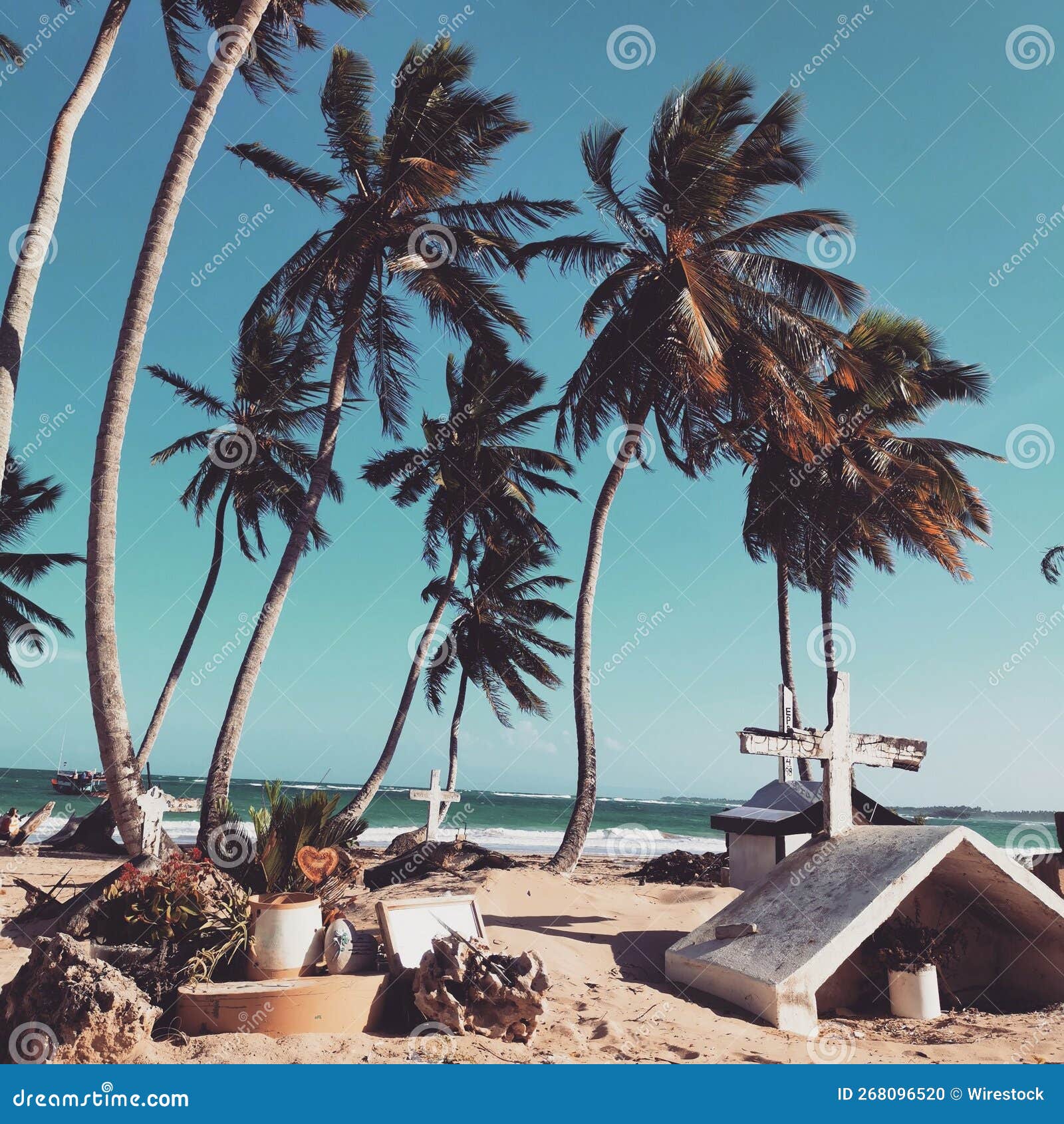 Cemetery on the Sandy Beach. Stock Photo - Image of palm, graveyard ...