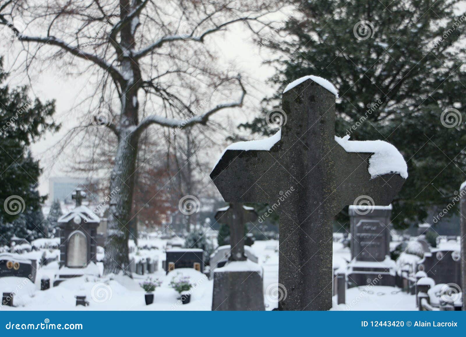 Cemetery snow stock photo. Image of depression, eternal - 12443420