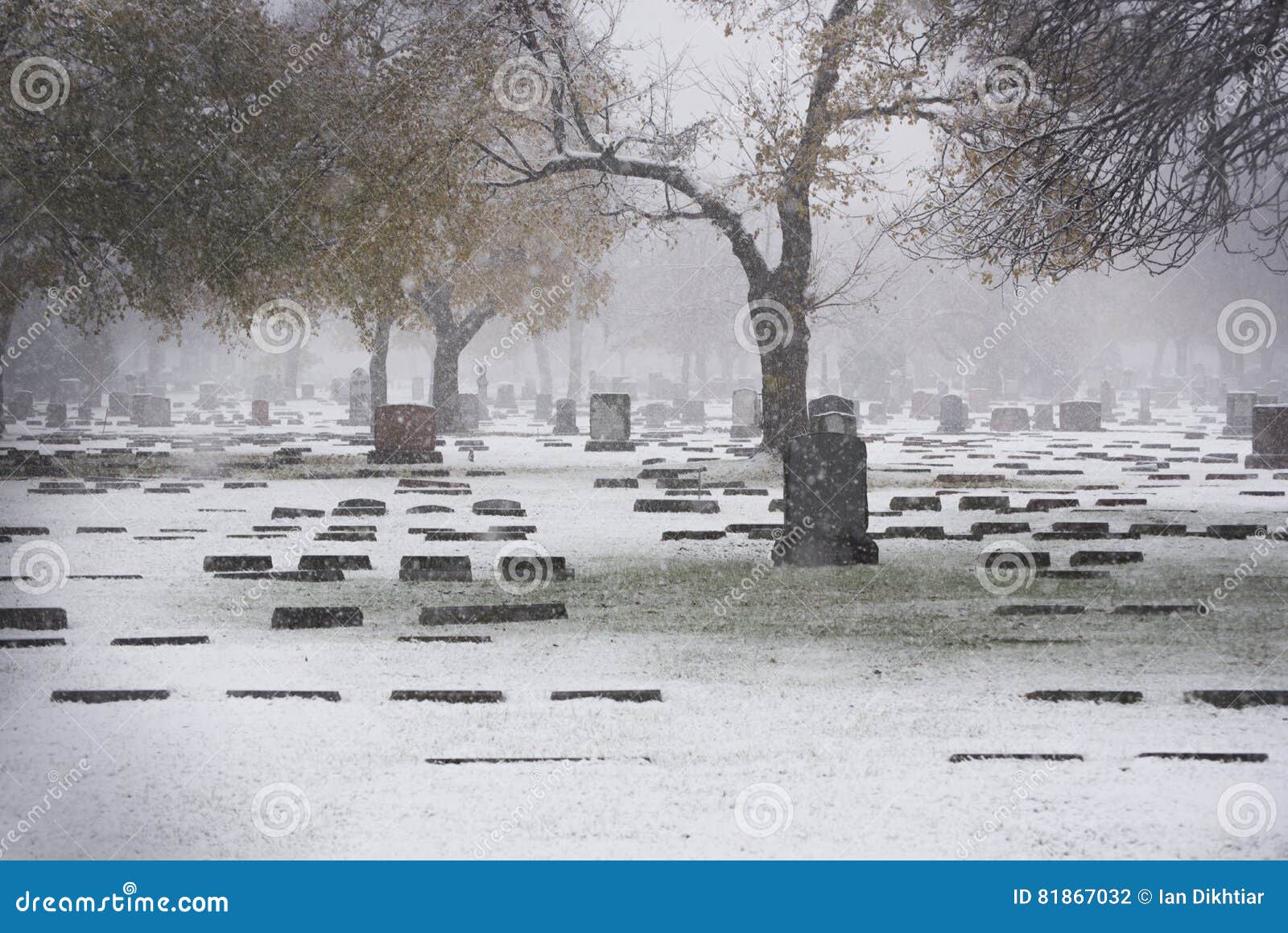 Cemetery in snow stock photo. Image of line, arlington - 81867032