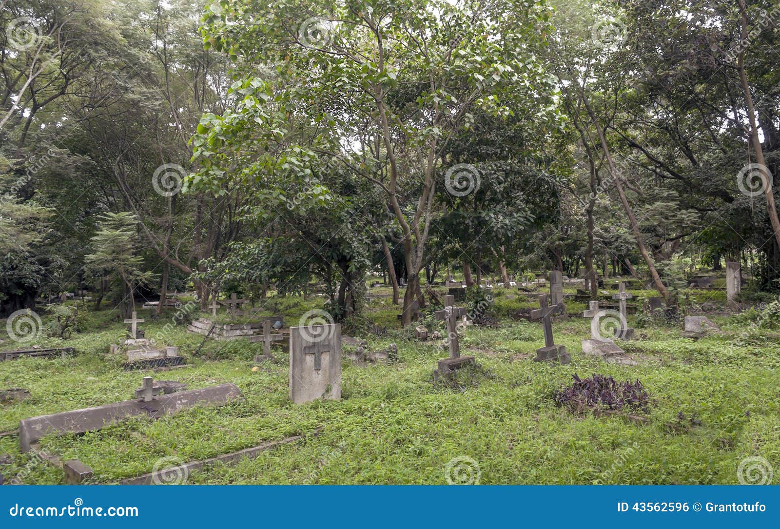 Cemetery in Tanzania stock photo. Image of leaves, mountain - 43562596
