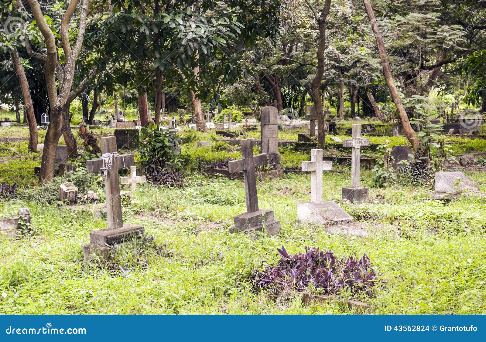 Cemetery in Tanzania stock photo. Image of graveyard - 43562824