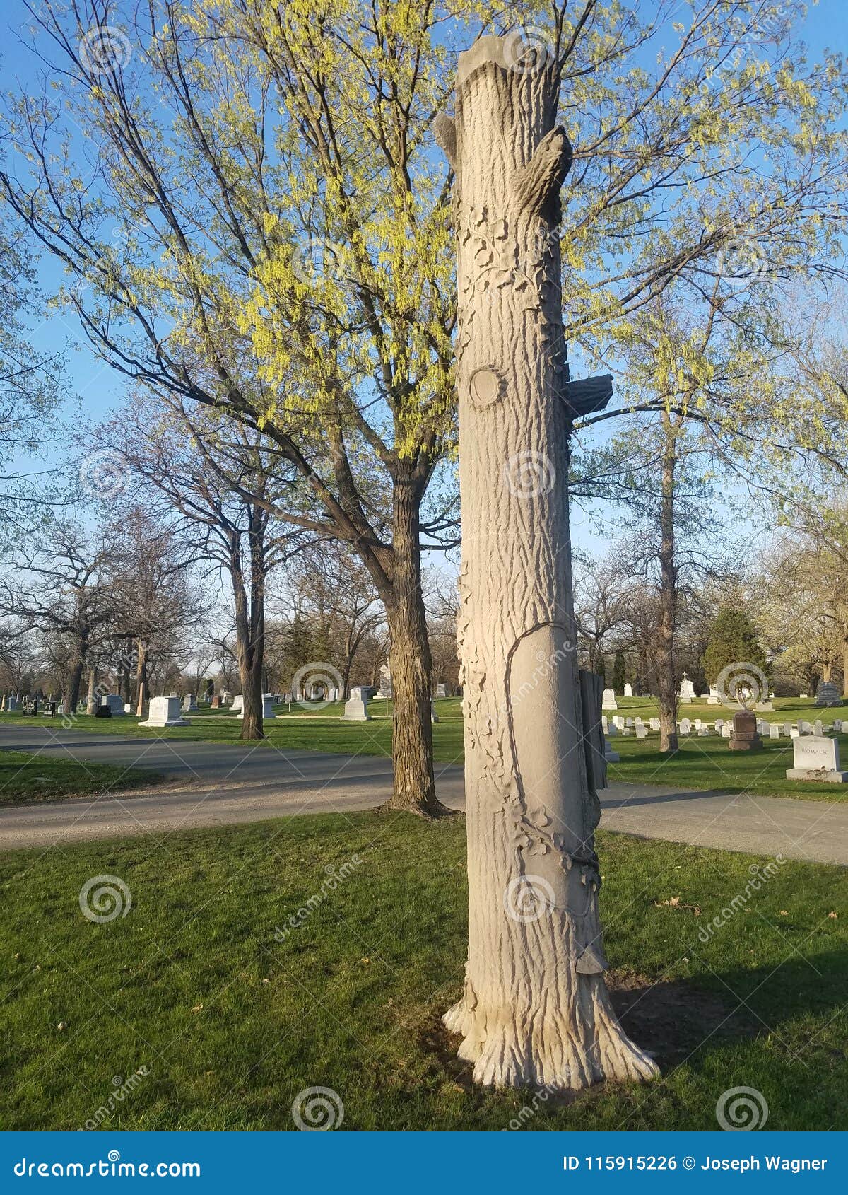 Cemetery trees stock photo. Image of santuary, stone - 115915226