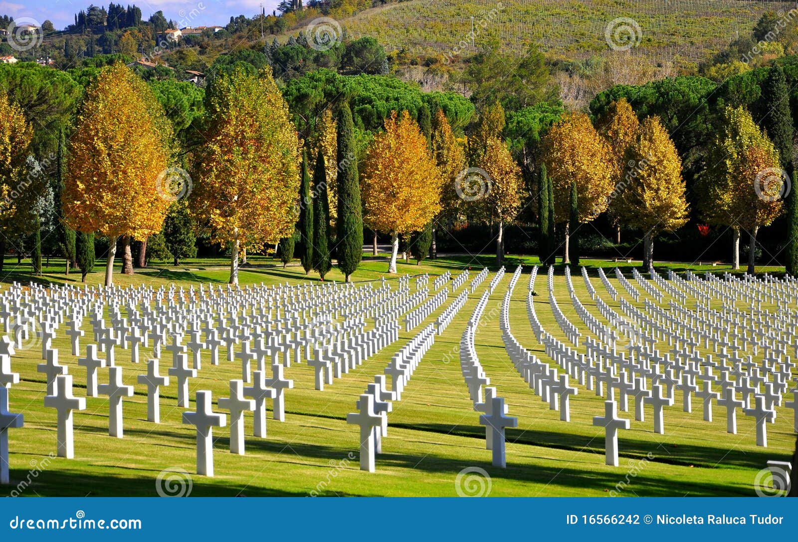 Cemetery in Tuscany, Italy stock photo. Image of alignment - 16566242