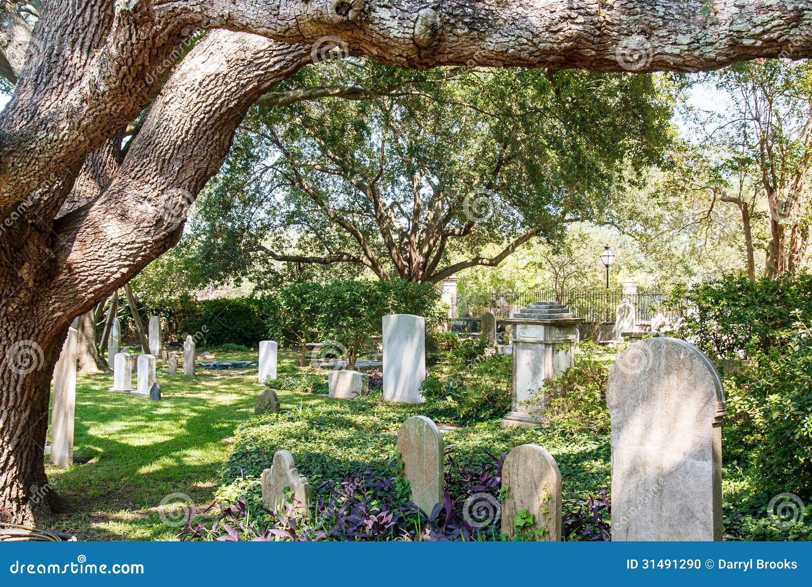 Cemetery Under Old Oak Tree Stock Photo - Image of tombstones ...