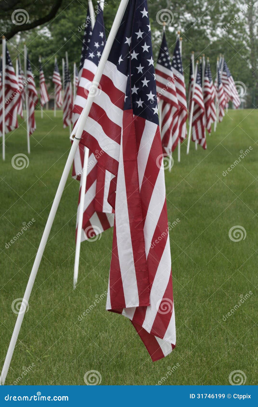 Cemetery with the US Flags stock image. Image of pole - 31746199