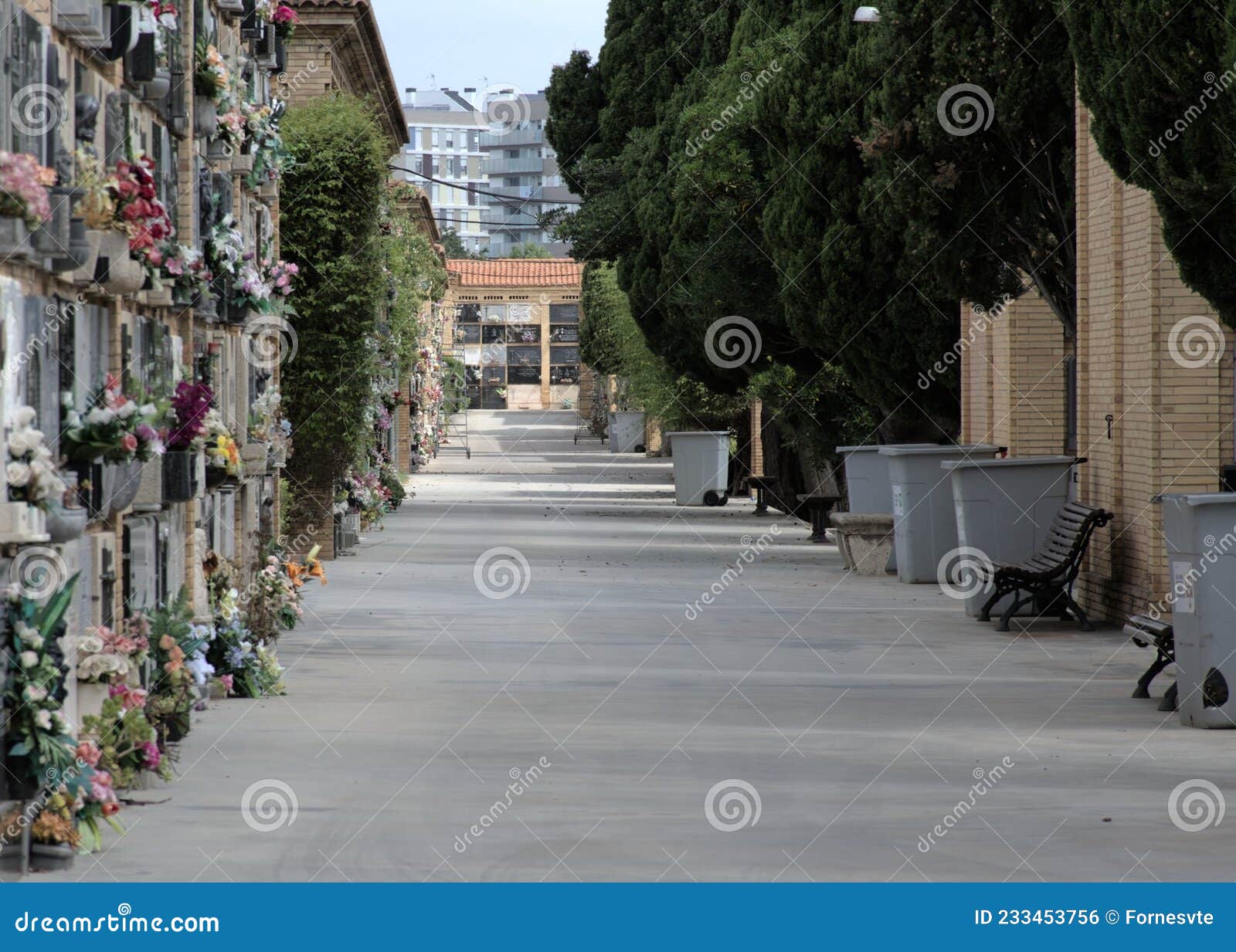 Cemetery of Valencia, Spain Editorial Photo - Image of spain ...