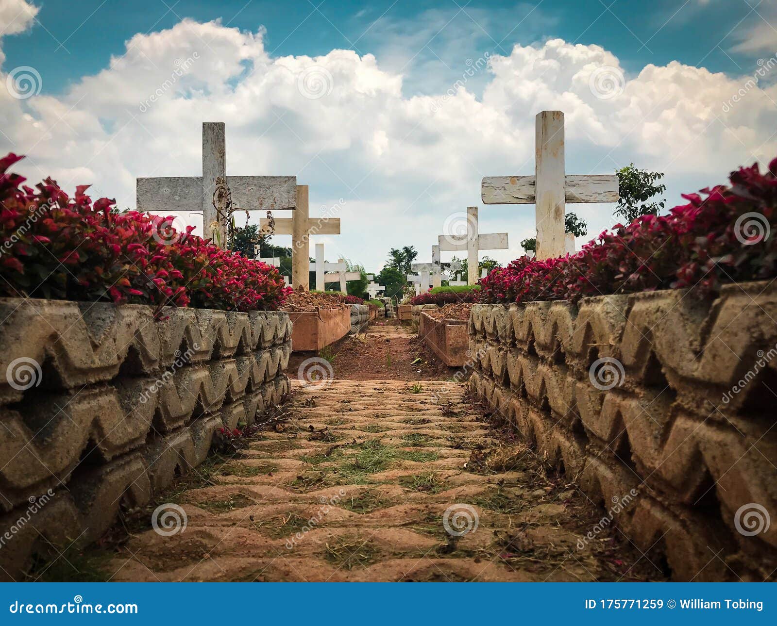 Cemetery View Area with Flower, White Cross and Blue Sky with Cloud ...