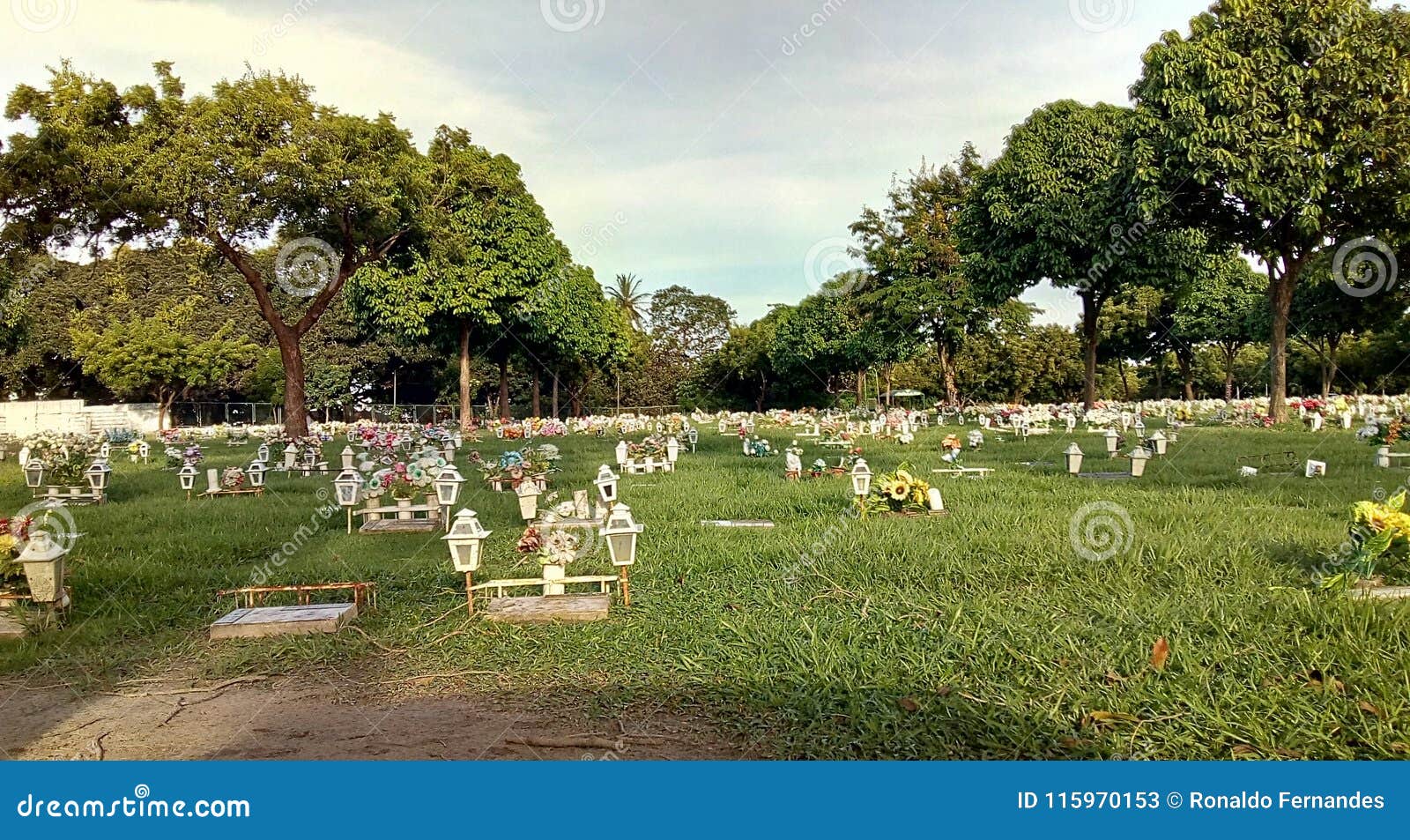Cemetery stock image. Image of cemitery, visit, tree - 115970153
