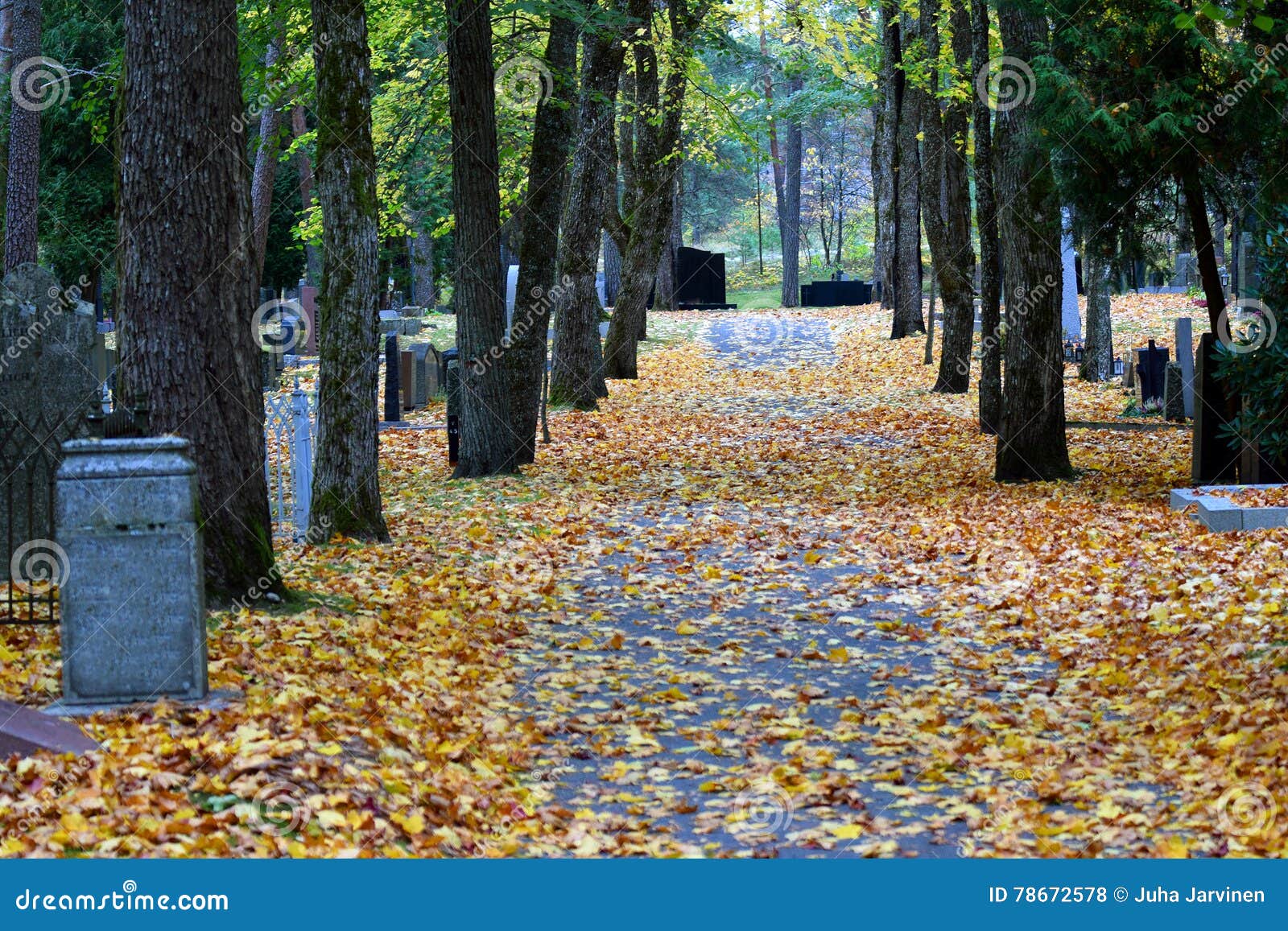 Cemetery walkway stock photo. Image of fall, memorial - 78672578