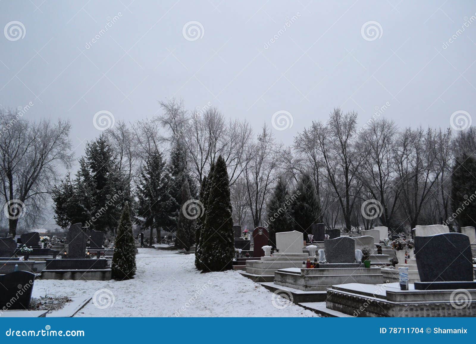 Cemetery in wintertime. stock photo. Image of deceased - 78711704