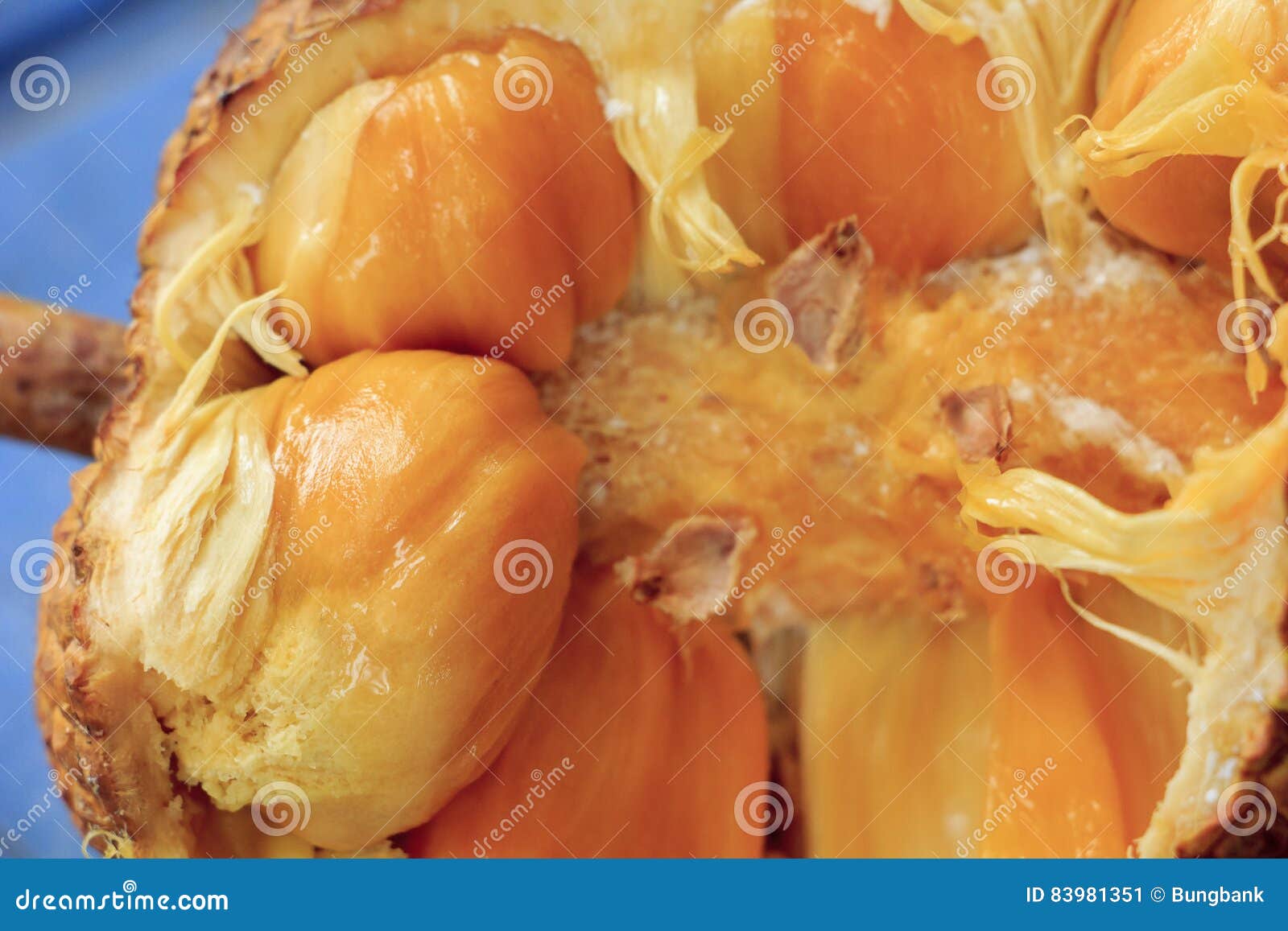 Cempedak or Artocarpus Integer, is Same Genus As Jackfruit. Stock Image ...
