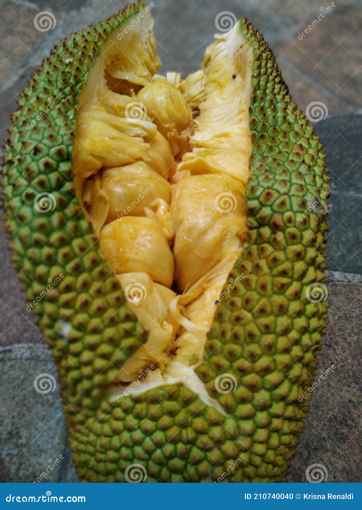 Cempedak stock photo. Image of cempedak, fruit, indonesia - 210740040