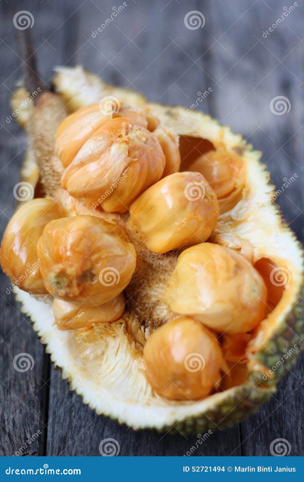 Cempedak - Tropical fruit stock photo. Image of cuisine - 52721494