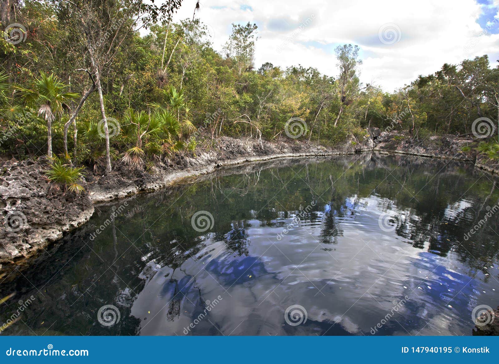 Cenote Cueva De Los Peces, Cuba Stock Image - Image of island, cenote ...