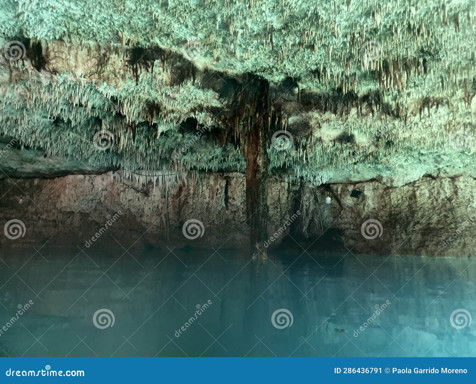 Cenote Under the Wild Forrest in Quintana Roo Stock Image - Image of ...