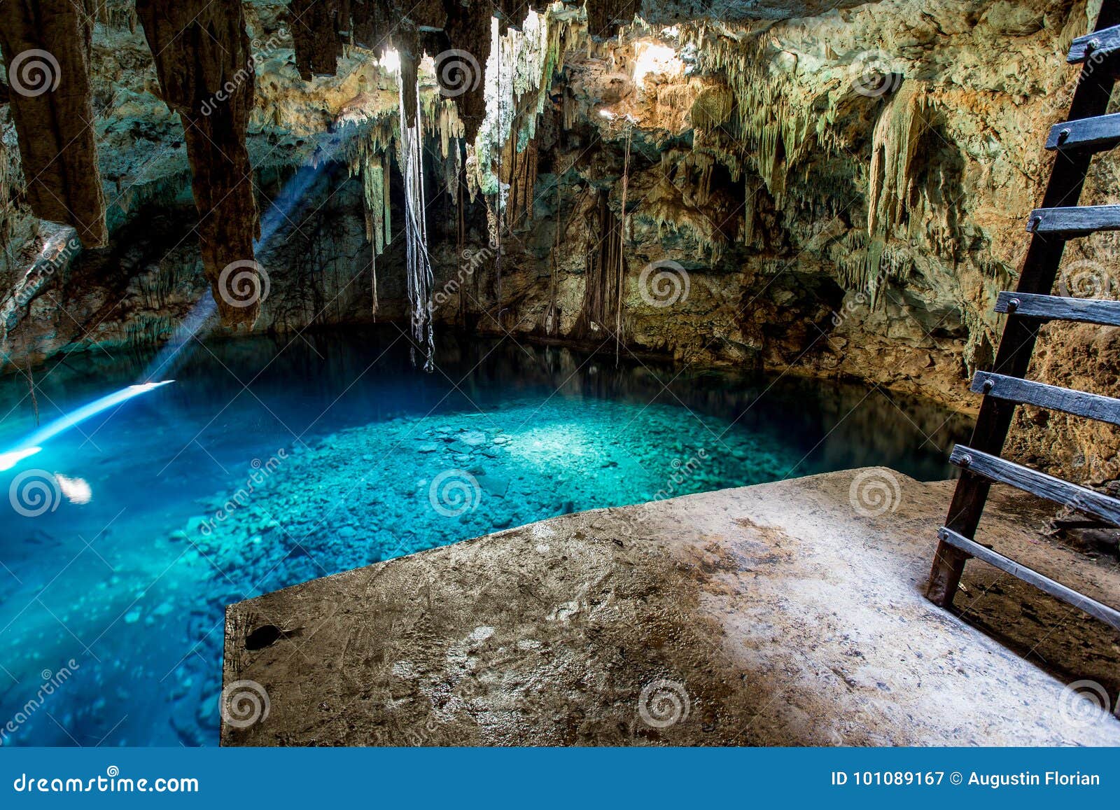 Cenotes in Cuzama, Mexico stock image. Image of mexico - 101089167