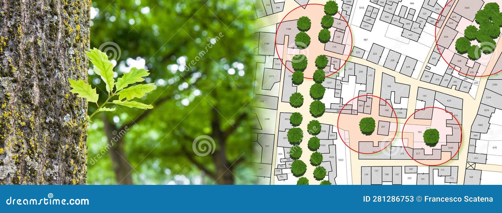 Census of Singol, Group or Row Trees in Cities - Green Management and ...
