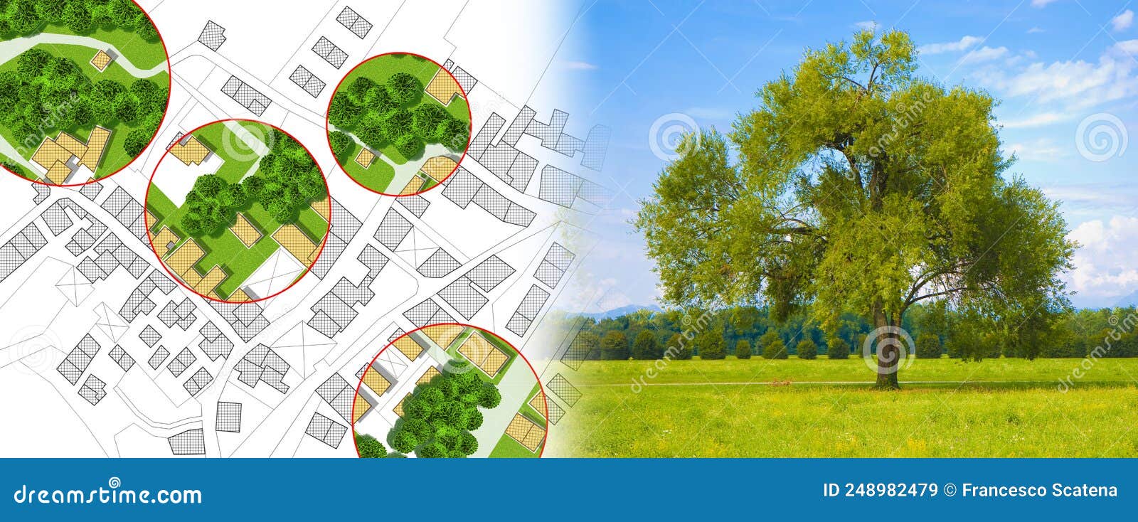 Census of Trees in Cities - Green Management and Tree Mapping Concept ...