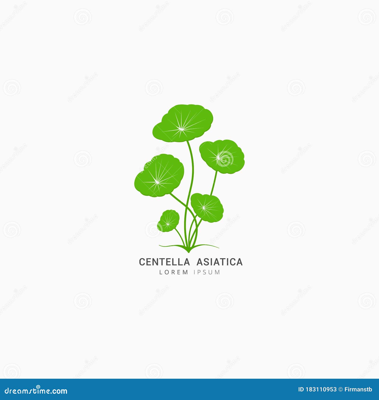 Centella Asiatica Logo Vector Illustration. Gotu Kola Icon Logotype ...