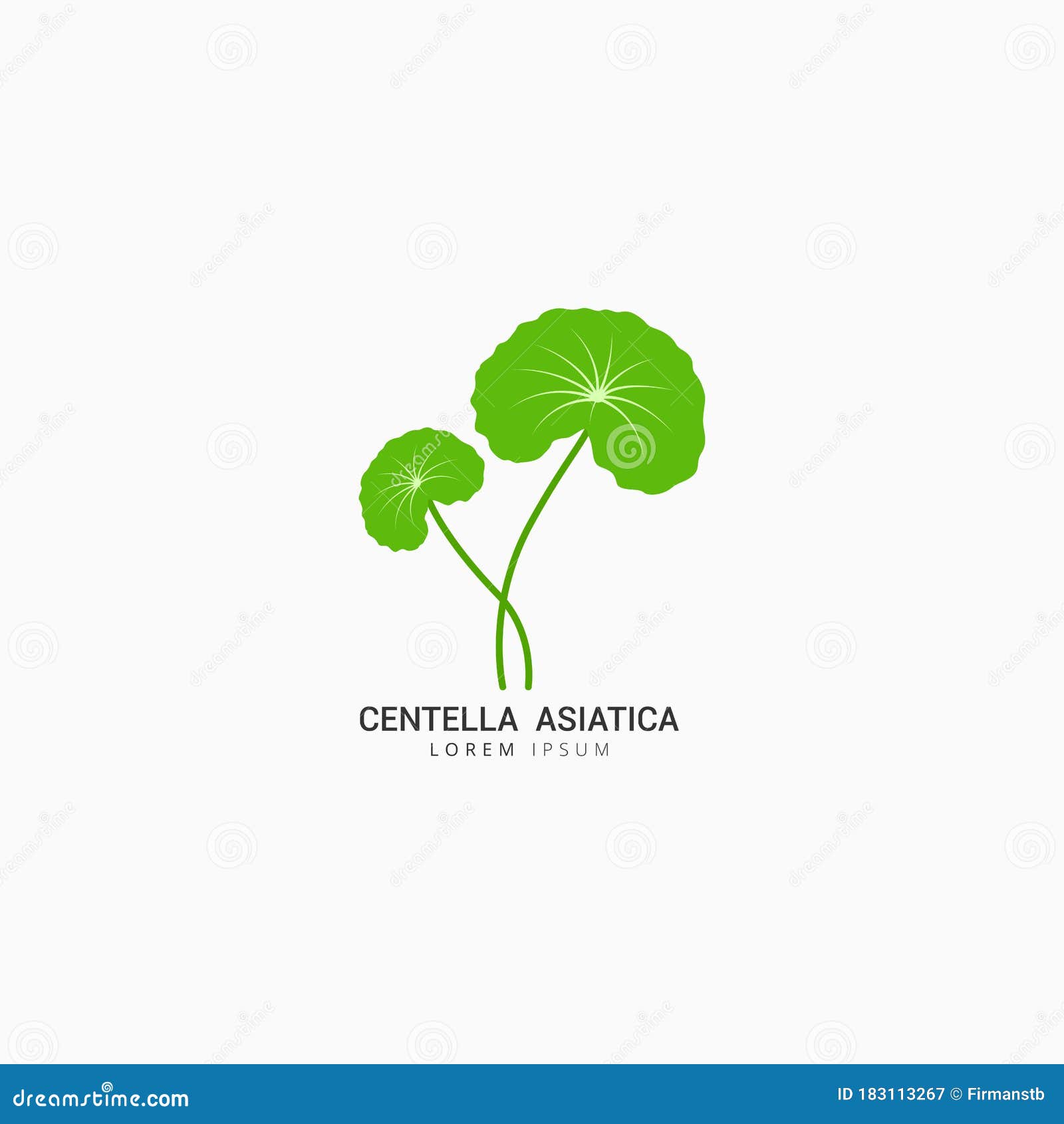 Centella Asiatica Icon Logo Vector Design Template Stock Vector ...